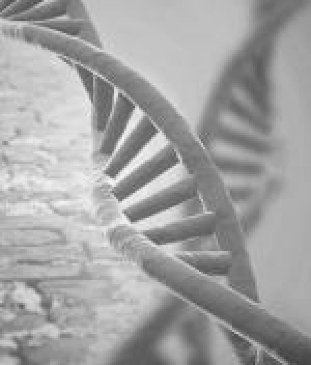 Dutch Famine Affected Regulation of Growth Genes | Columbia University ...