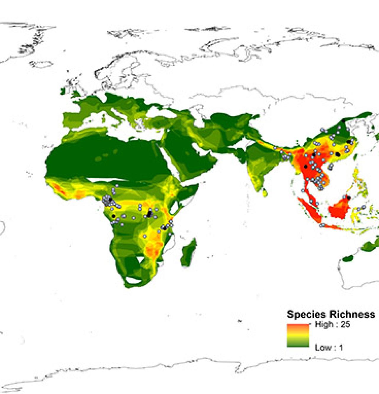 The Kind of Outbreak Scientists Saw Coming | Columbia Public Health ...