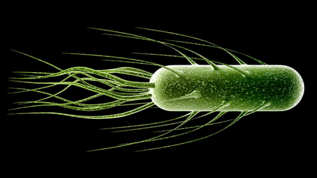 The Scary World of Superbugs | Columbia University Mailman School of ...