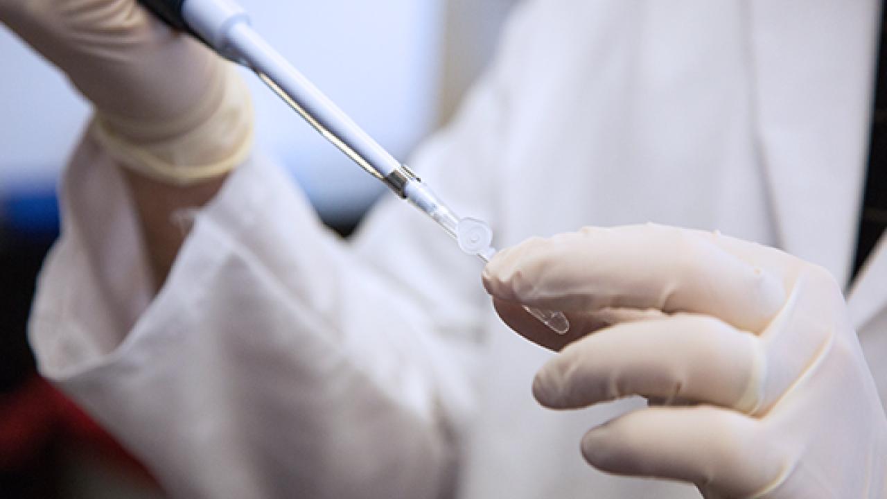 Professor Stephen Morse Weighs in on Ebola Outbreak | Columbia ...