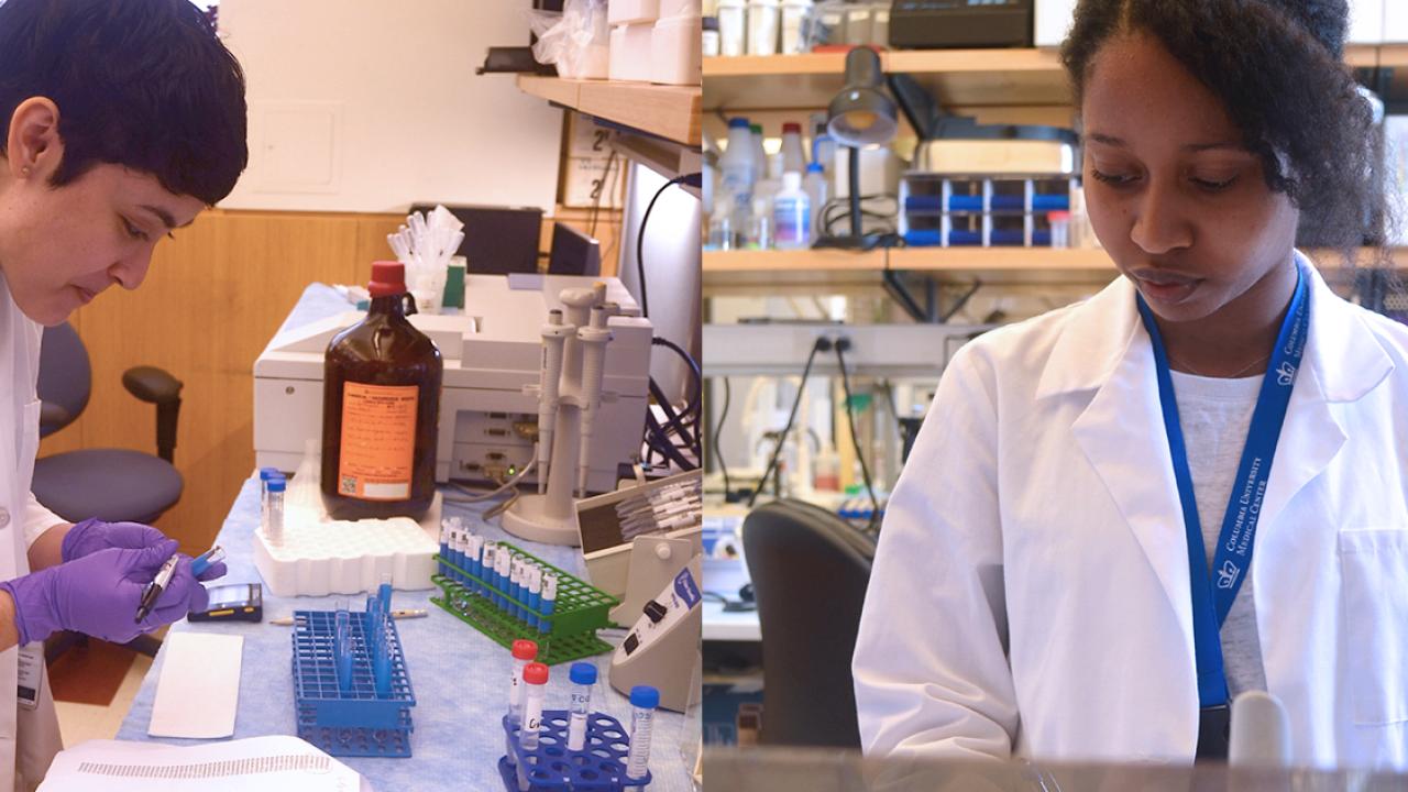 Primed for Environmental Health Science | Columbia University Mailman ...