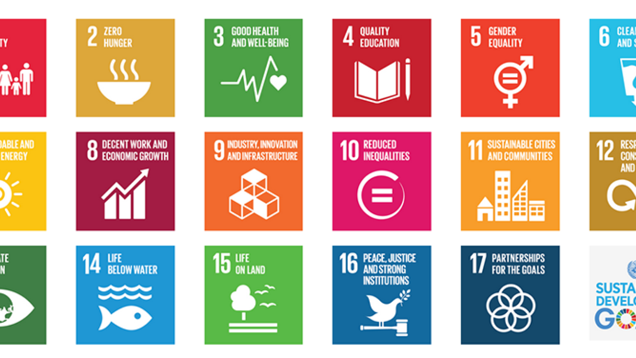 A Critical Thinker’s Guide to the UN’s Sustainable Development Goals