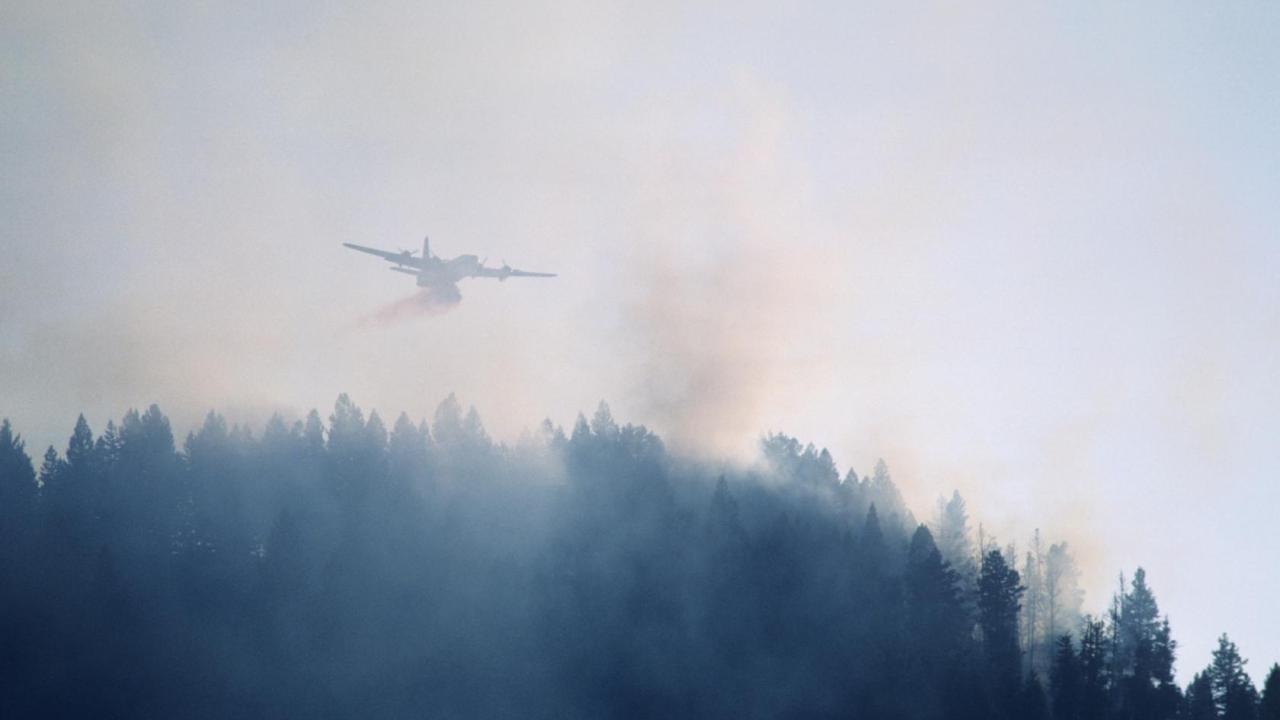 Wildfire Smoke Poses Health Risk Many Miles From Blazes | Columbia ...