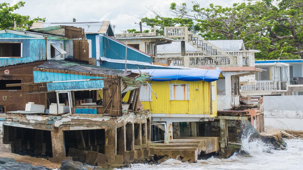 When Disaster Strikes: Learning From Devastation | Columbia University ...