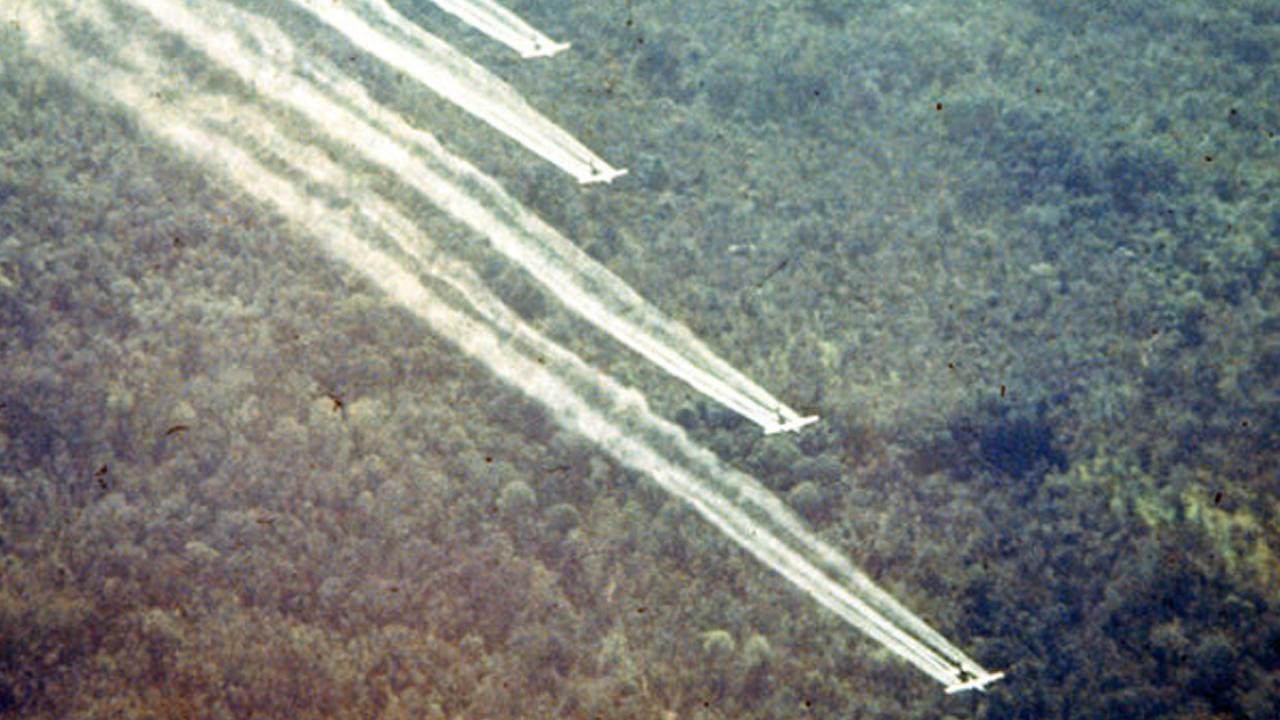 The Lingering Health Impacts of Agent Orange During the Vietnam War ...