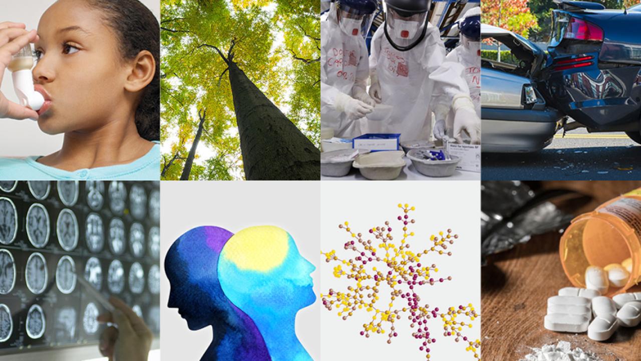 What Is Epidemiology? | Columbia University Mailman School of Public Health