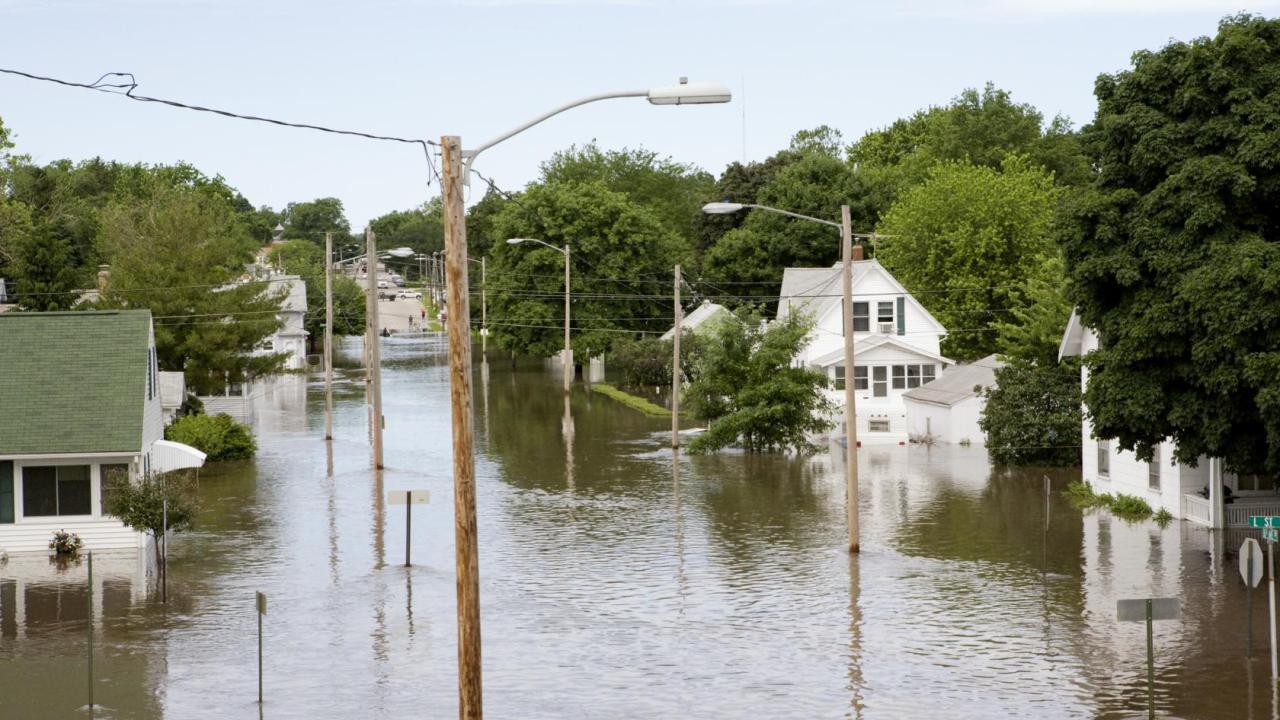 Columbia Mailman Signs Call to Action on Climate Crisis | Columbia ... Columbia Mailman Signs Call to Action on Climate Crisis | Columbia ...