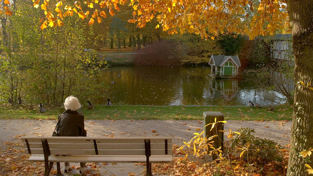 3 Strategies to Combat Loneliness in Older Adults | Columbia Public ...