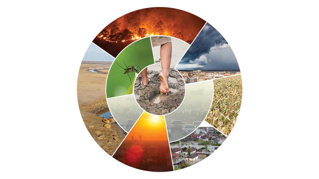 Climate in Crisis | Columbia University Mailman School of Public Health