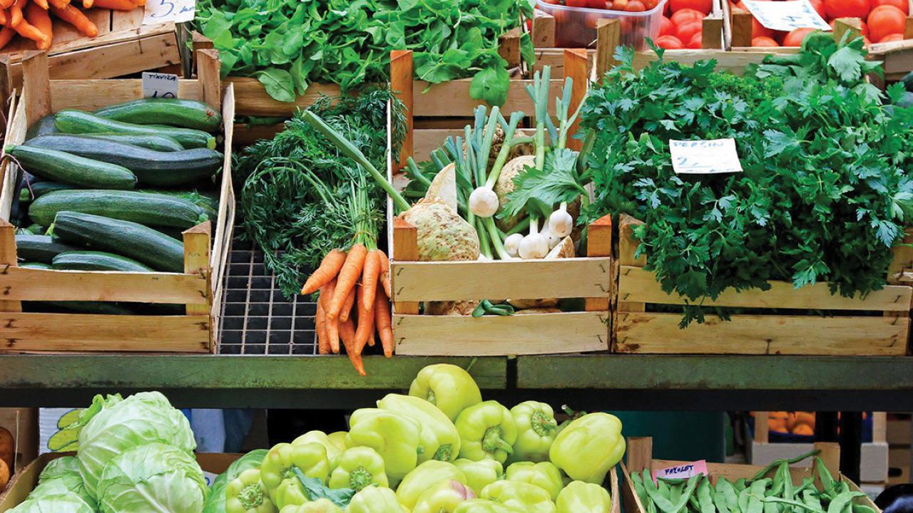 A New Focus on Food | Columbia University Mailman School of Public Health