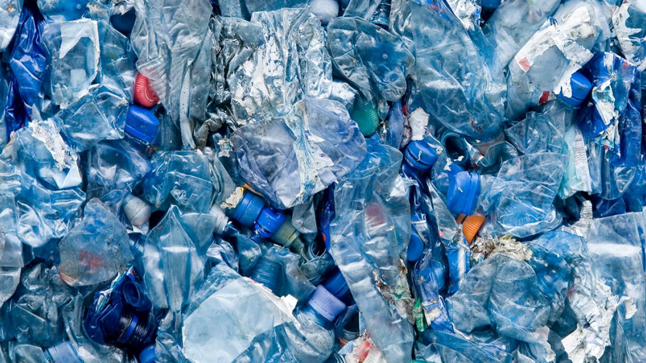 Plasticizers May Contribute to Motor Control Problems in Girls ...