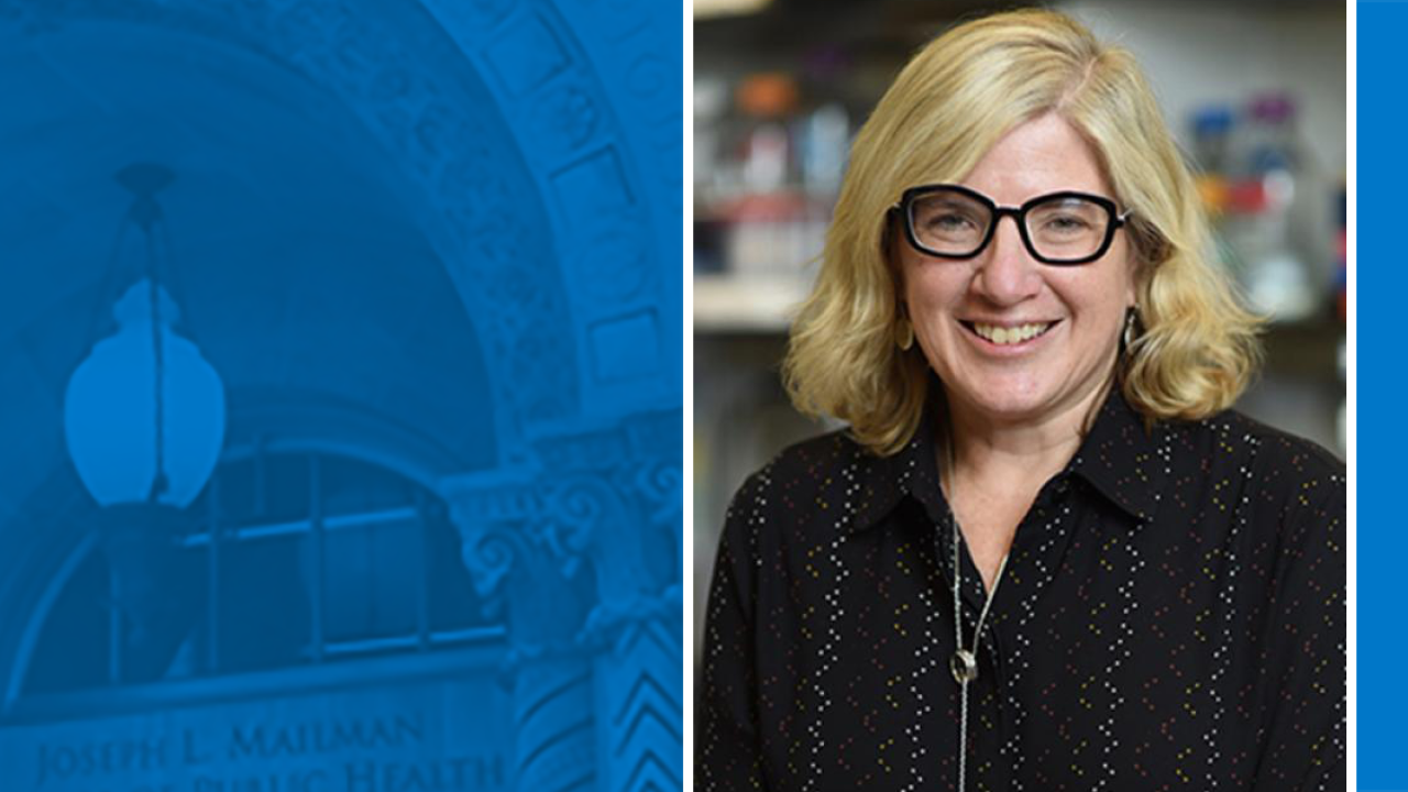 Mary Beth Terry, PhD | Columbia University Mailman School of Public Health