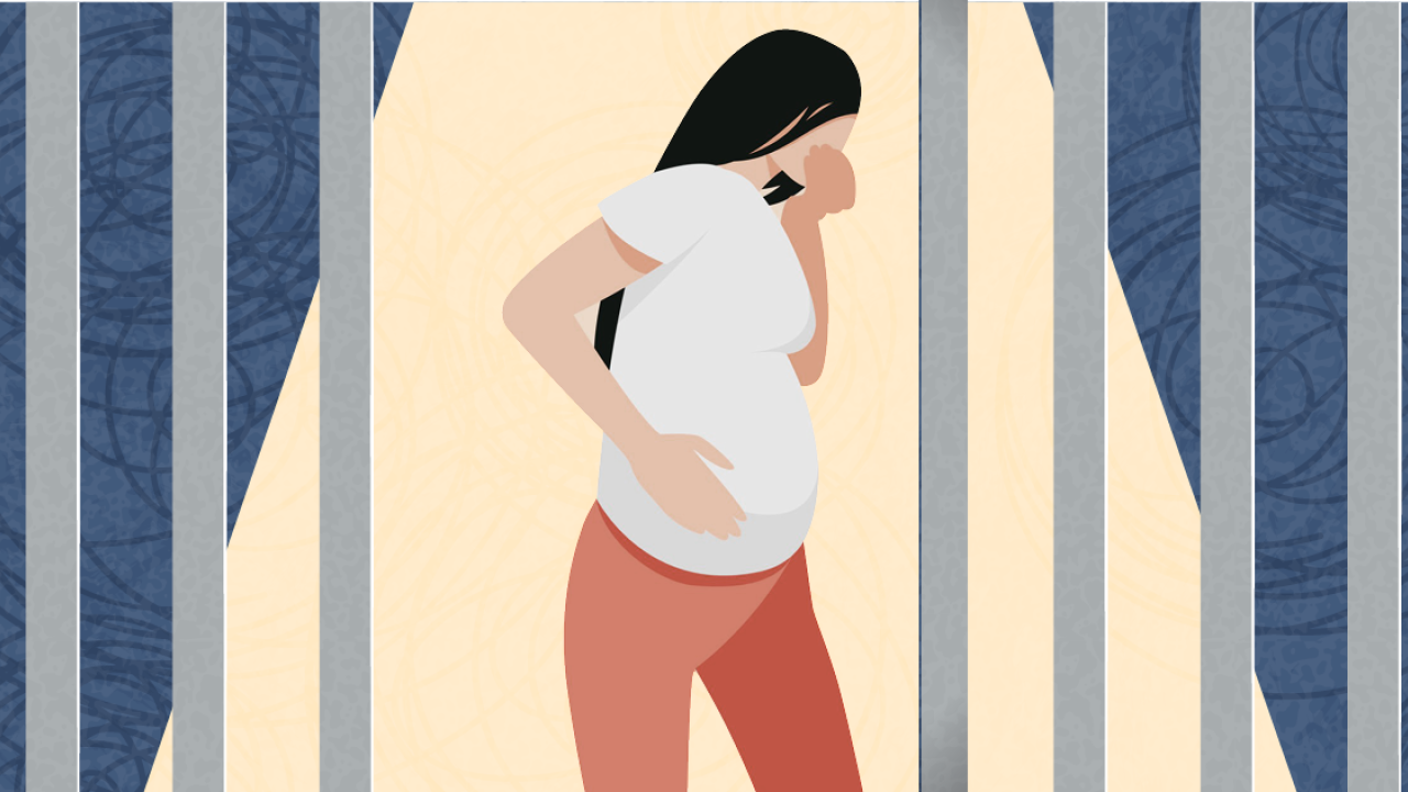 Pregnant Women In Prison Statistics
