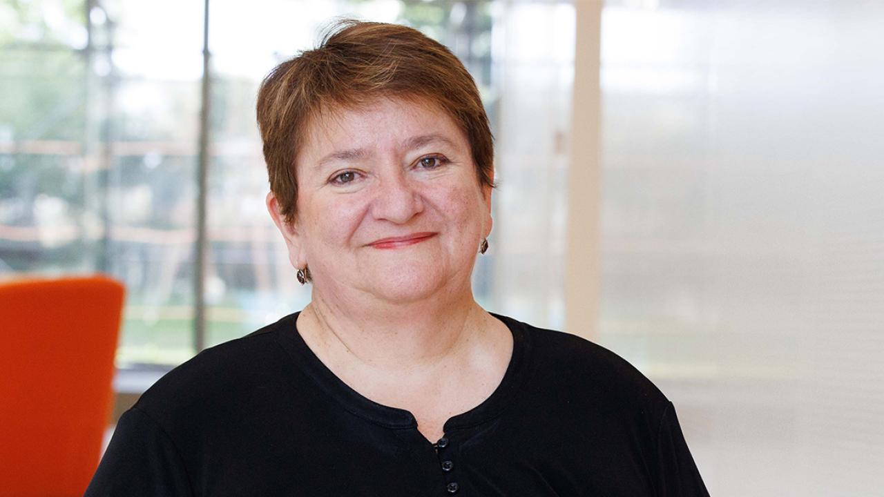 Helen de Pinho Named a Provost’s Senior Faculty Teaching Scholar ...