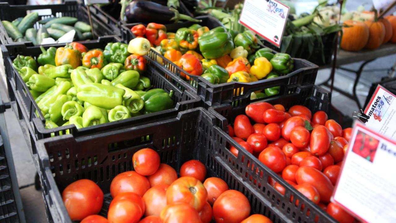 Obesity Prevention Initiative | Columbia University Mailman School of ...