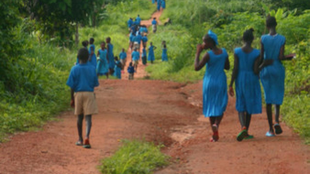 Program on Forced Migration and Health | Columbia University Mailman ...