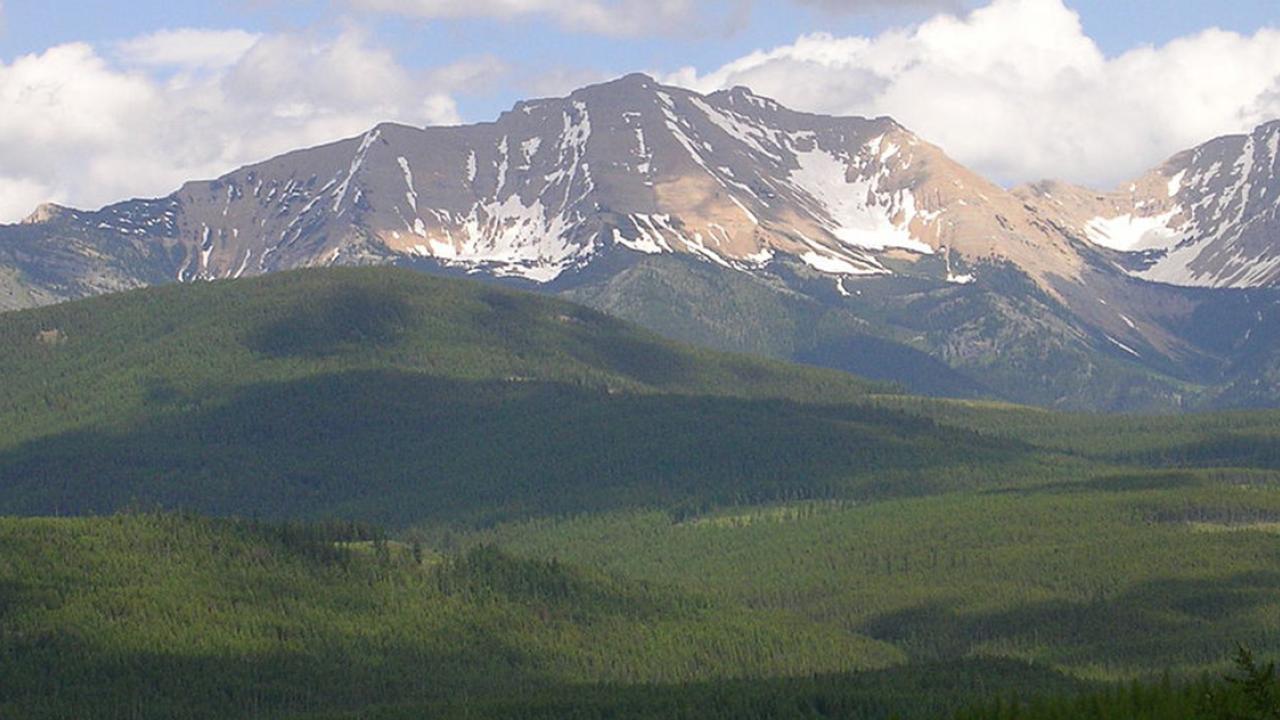 The Colonial Roots of Violence Against Native American Women | Columbia ...