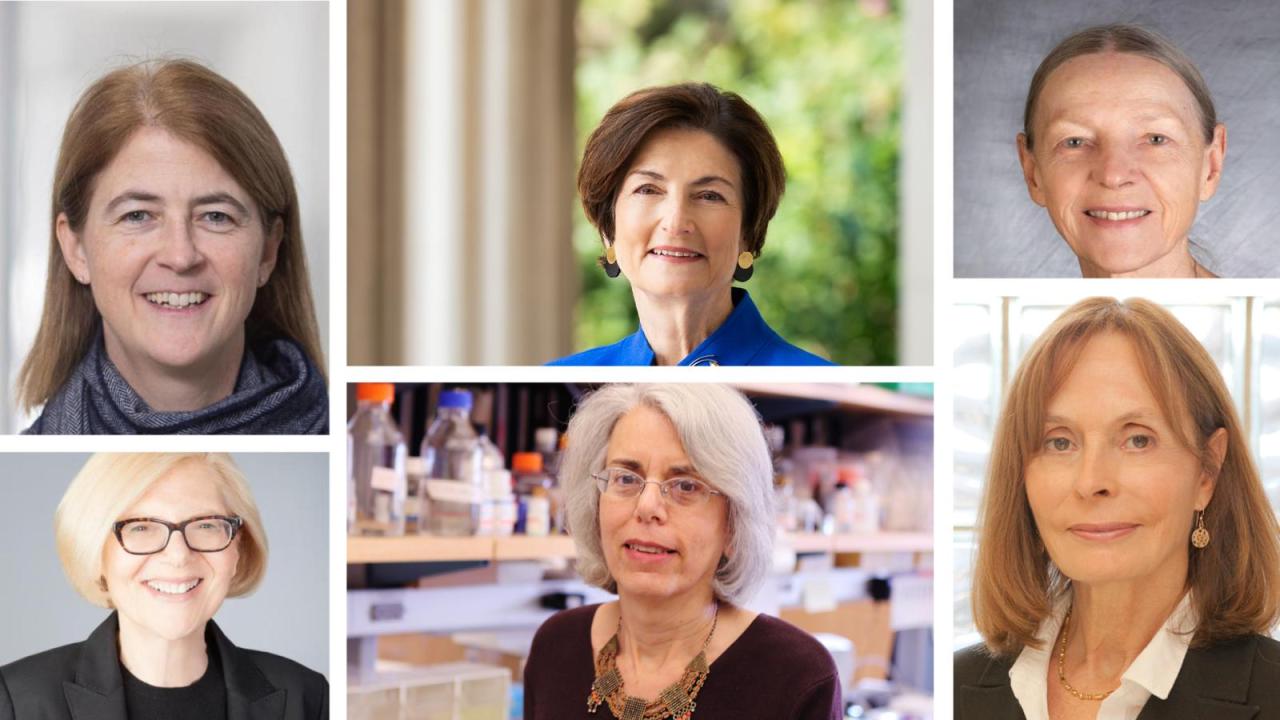 Columbia Mailman Women Faculty Named Among Top Scientists in the World ...