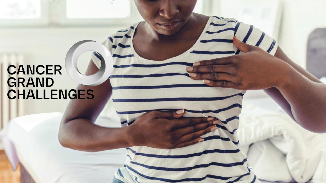 Exposomics Research to Investigate Cancer in People of African Origin ...