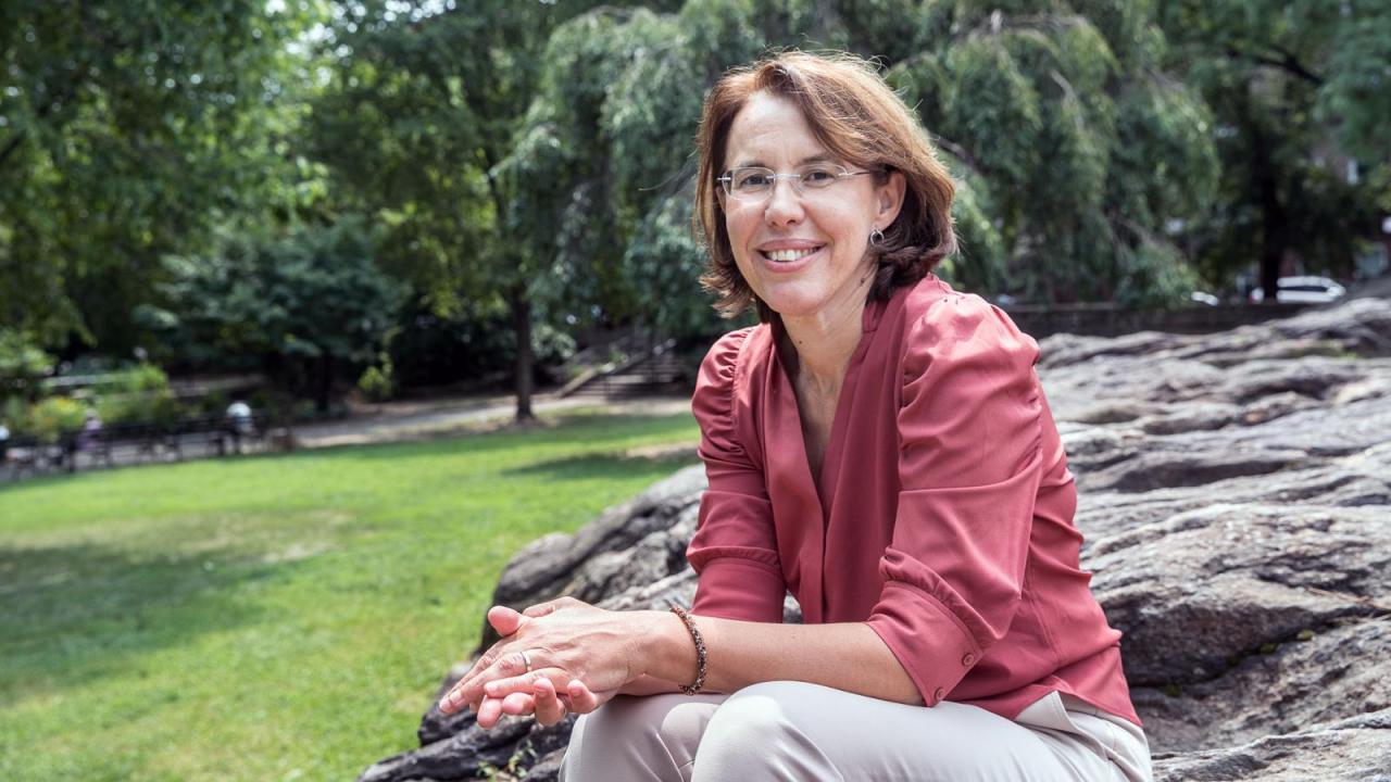 Ana Navas-Acien Is Named Next Chair of Environmental Health Sciences ...