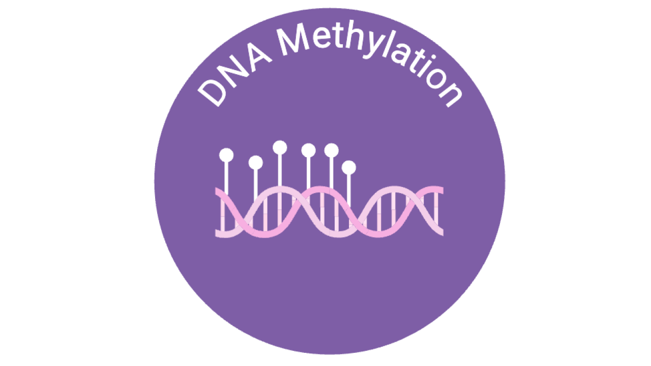 DNA Methylation Biomarkers | Columbia University Mailman School of ...
