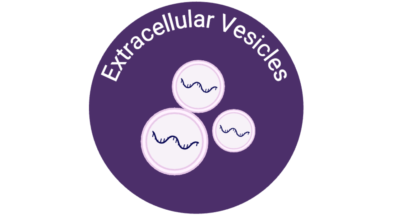 Extracellular Vesicles | Columbia University Mailman School of Public ...