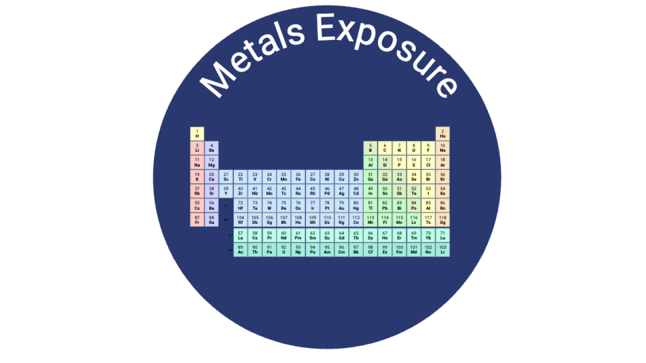 Metals Exposures | Columbia University Mailman School of Public Health