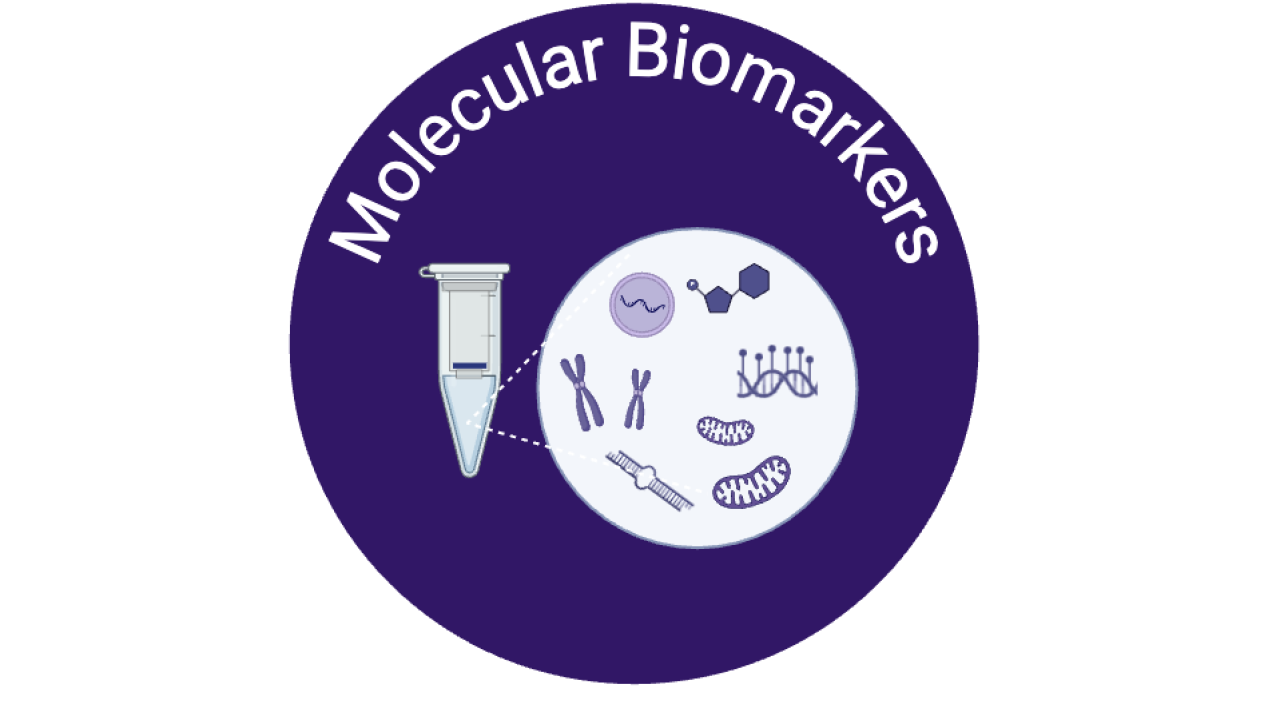 Molecular Biomarkers | Columbia University Mailman School of Public Health