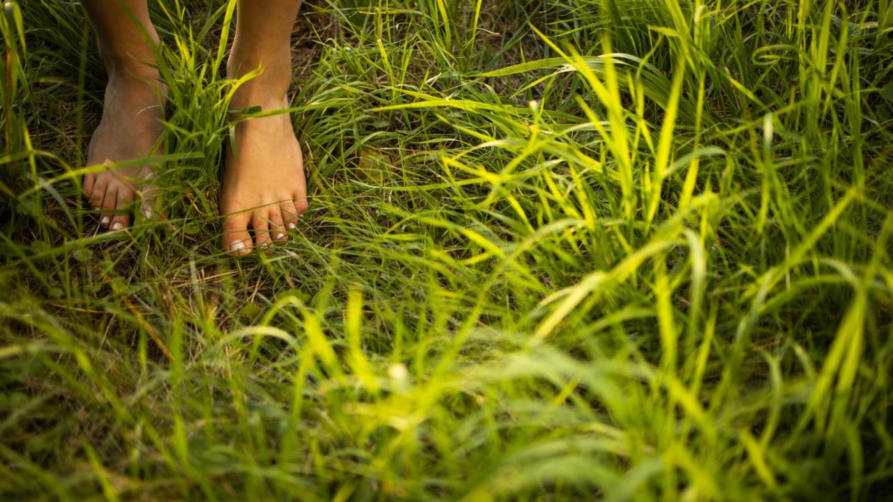 A Better Way to Diagnose Lyme Disease and Other Tick-Borne Illnesses ...