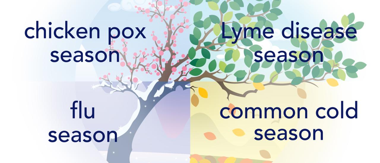 Mark Your Calendar: All Infectious Diseases Are Seasonal | Columbia ...