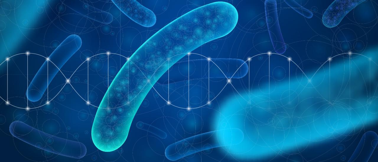 Using Whole-Genome Sequencing for Early Identification and Containment ...