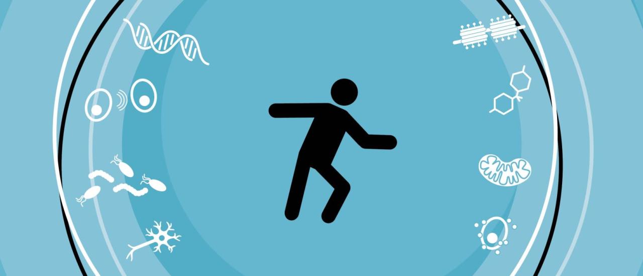 Eight Ways Chemical Pollutants Harm the Body | Columbia University ...