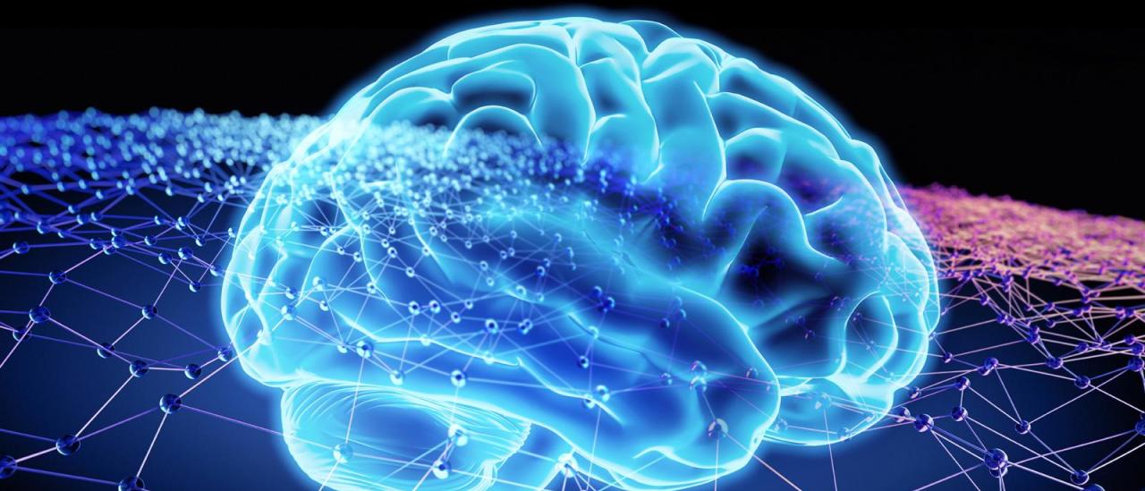 New Data Platform Tracks the Complex Path to Alzheimer’s and Could ...