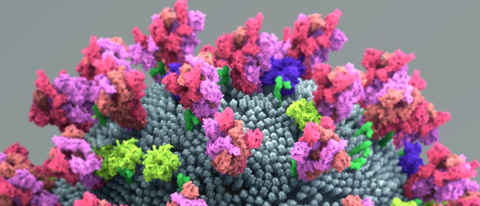 What Is Omicron and How Concerned Should We Be? | Columbia University ...