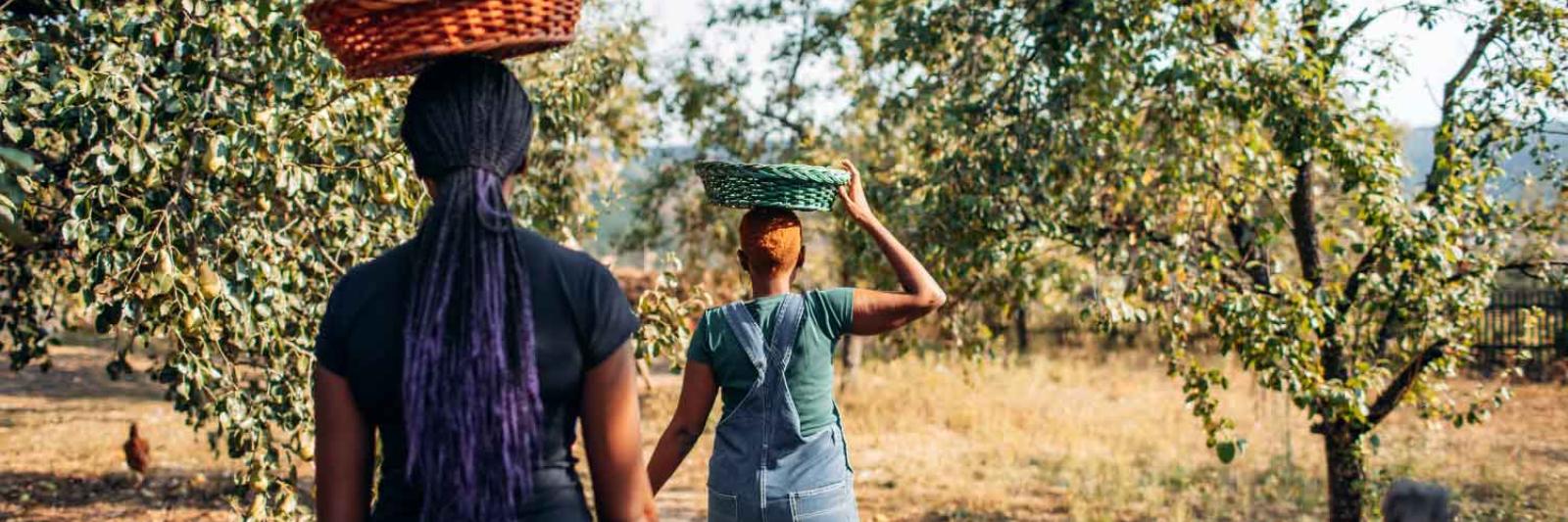 Population and Family Health | Columbia University Mailman School of ...