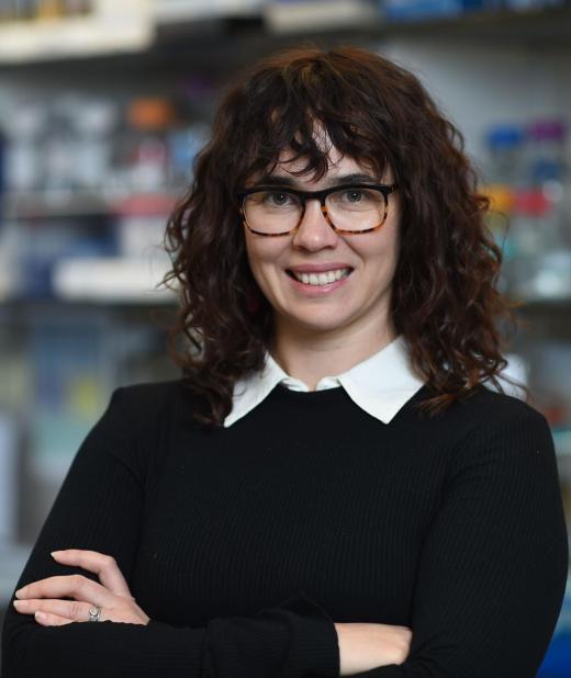 Lauren Houghton, PhD | Columbia University Mailman School of Public Health