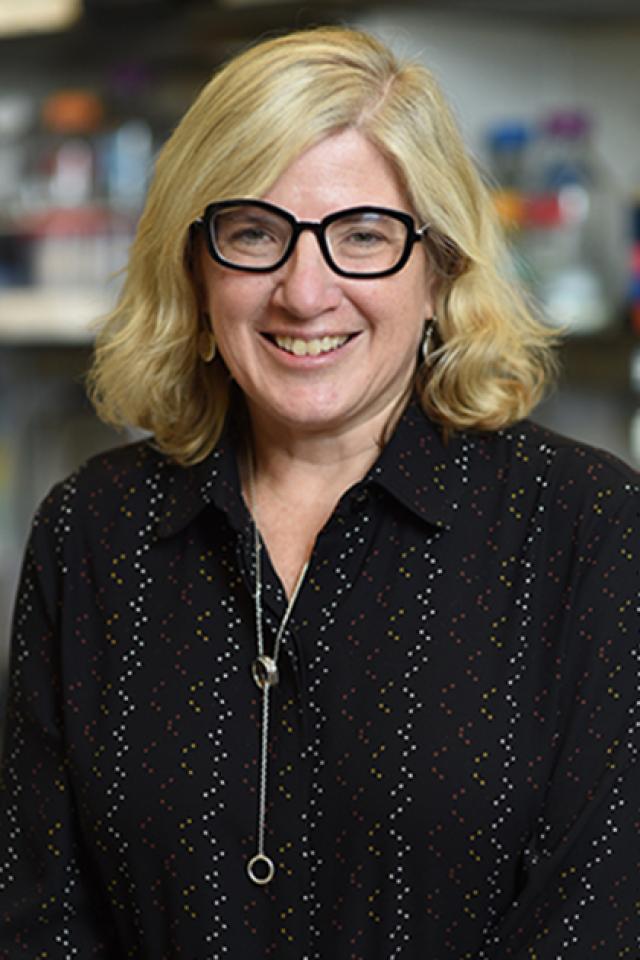 Mary Beth Terry, PhD | Columbia University Mailman School of Public Health