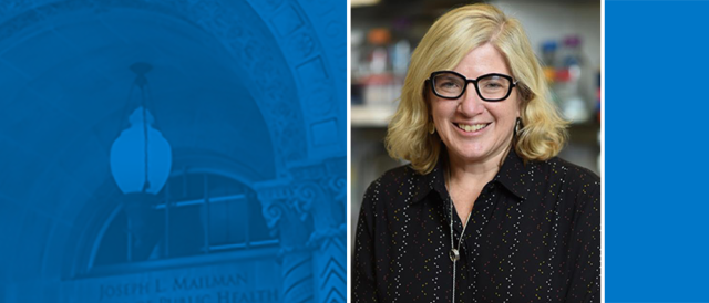 Mary Beth Terry to Lead Center for Reducing Health Disparities ...