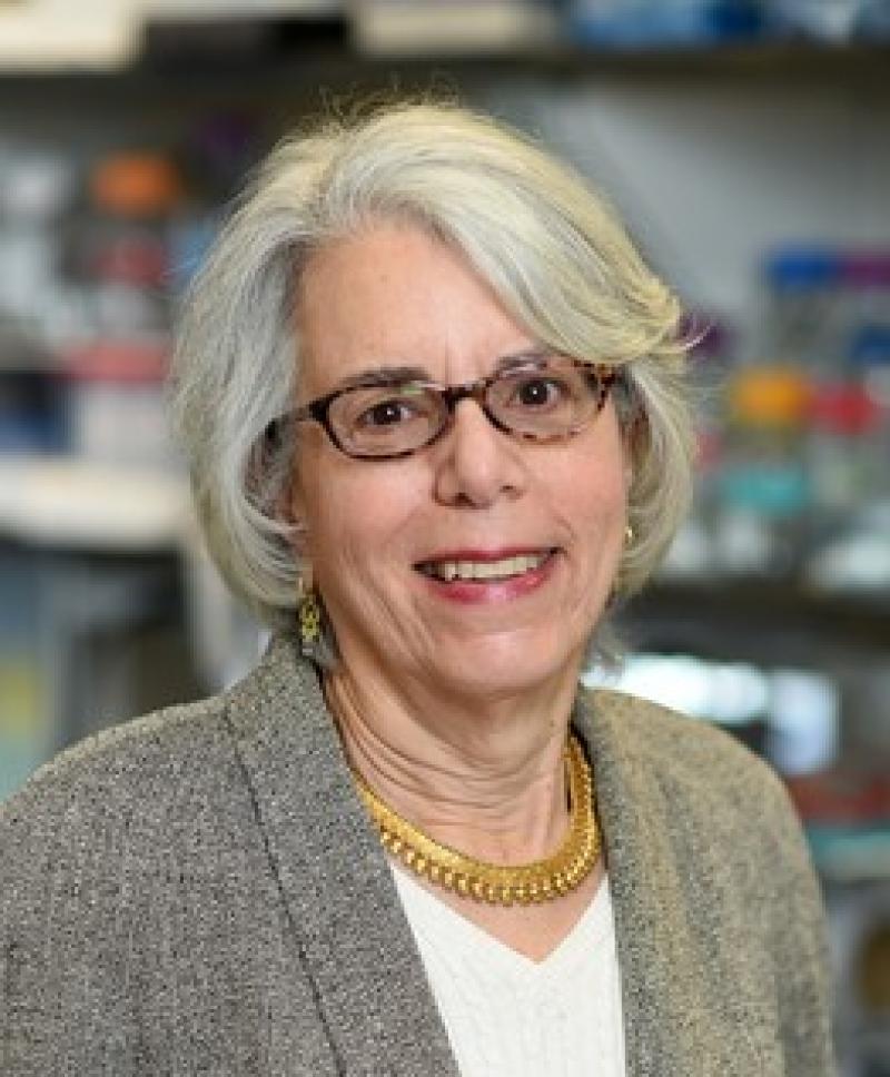 Regina M. Santella, PhD | Columbia University Mailman School of Public ...