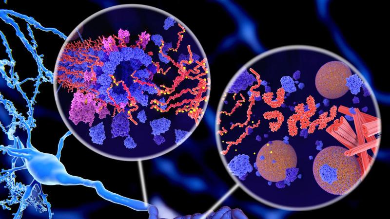 Zhonghua Liu, ScD | Columbia University Mailman School of Public Health